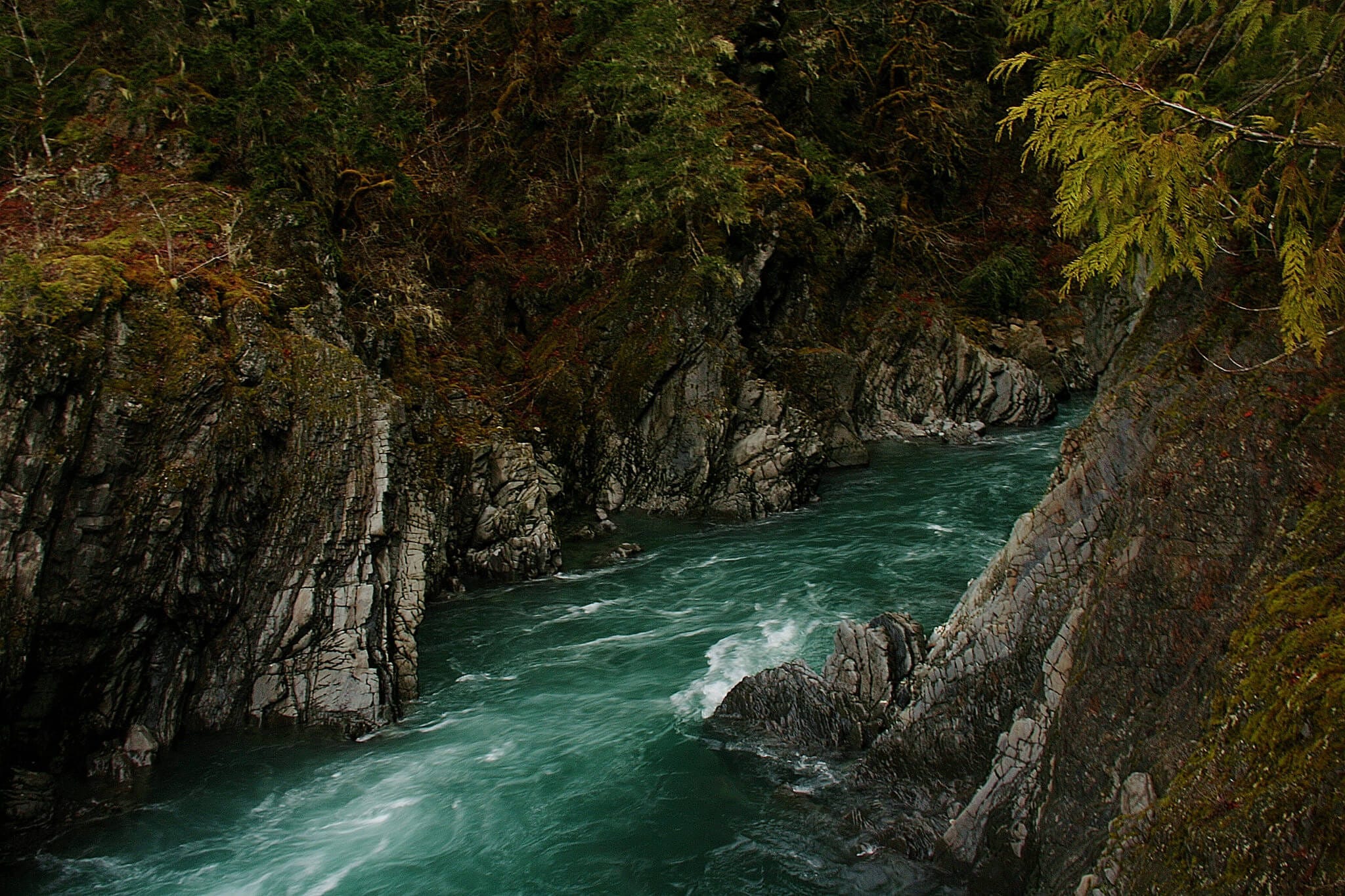 An Insider’s Guide To An Unforgettable Weekend In Olympic National Park ...